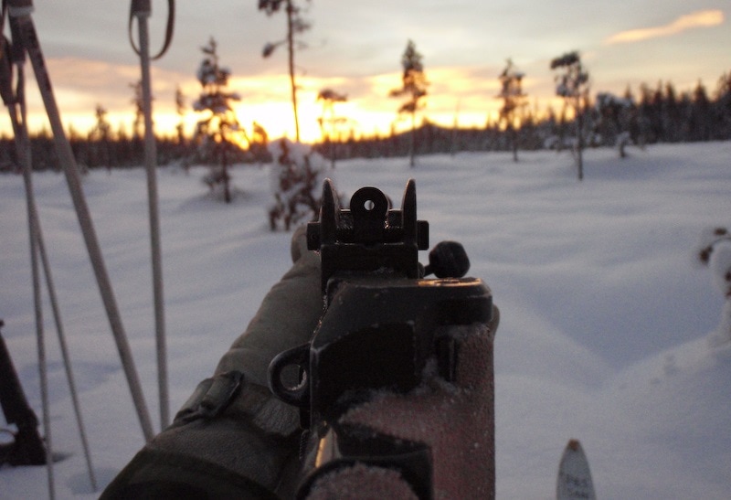 5 Best Iron Sights for AR-15 in 2025 — Reviews & Top Picks - Optics Mag