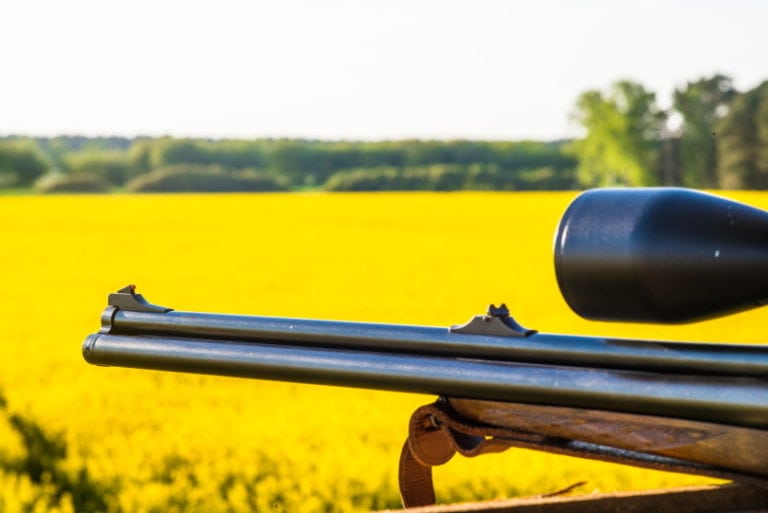 10 Best Flip Up Sights in 2024 — Reviews & Top Picks - Optics Mag