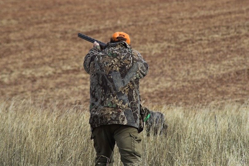 How to Get a Hunting License in California - What You Need to Know ...