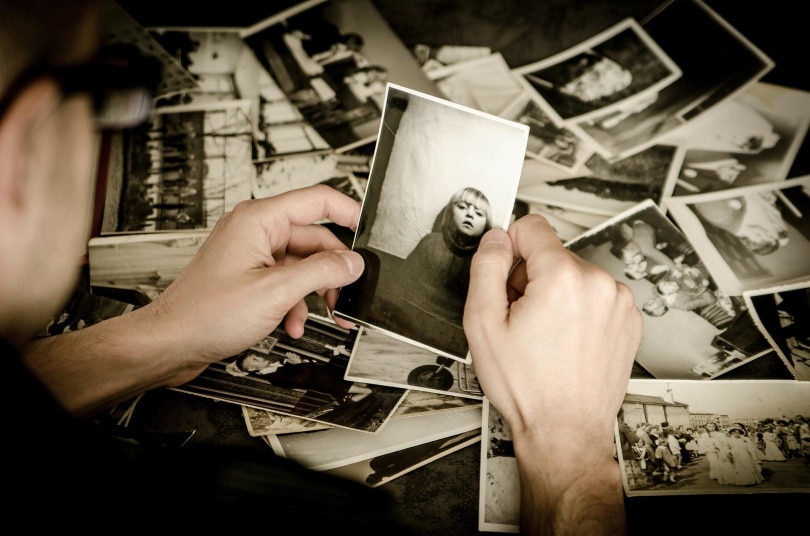 30 Interesting Facts About Cameras and Photography - Optics Mag