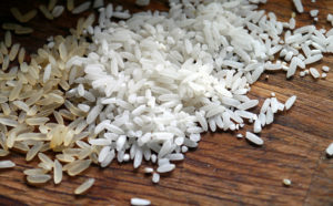 Can Birds Eat Rice (Cooked & Uncooked)? What You Need To Know! - Optics Mag