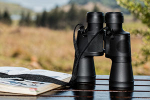 Binocular Magnification Chart: Numbers & Distances Compared - Optics Mag