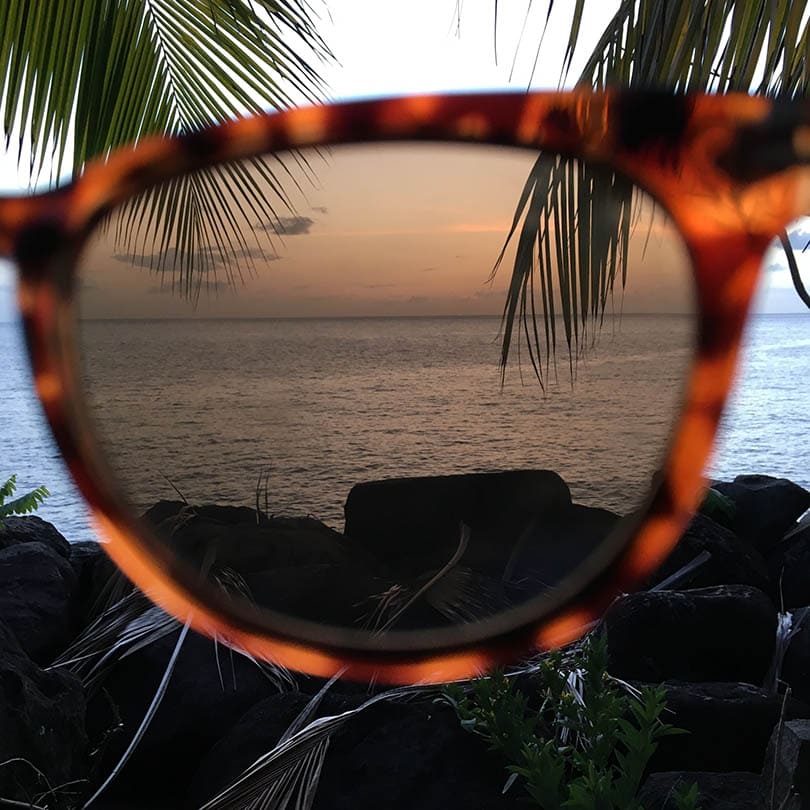 What Are Polarized Sunglasses? How Do They Work? - Optics Mag