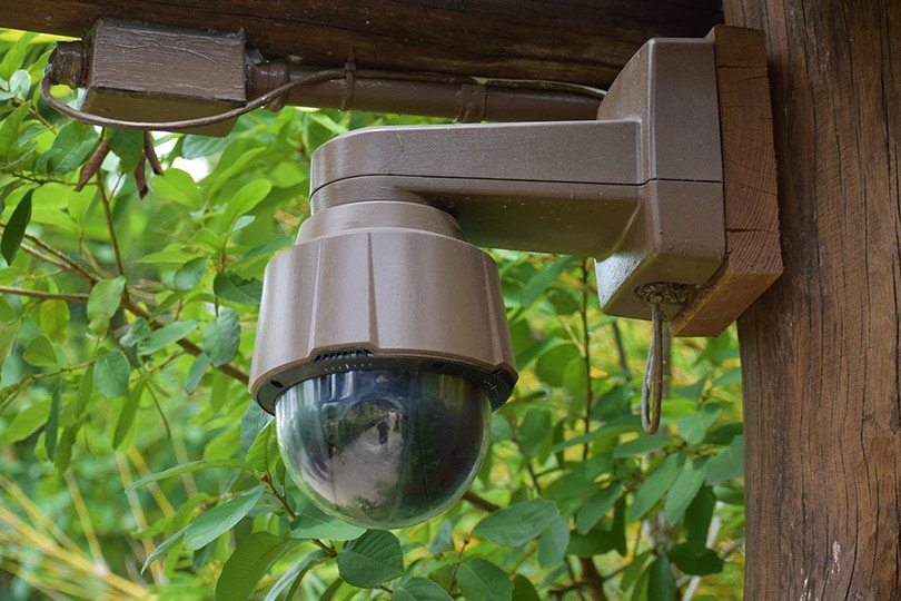 Security Camera Placement — 5 Ideal Locations Around Your Home - Optics Mag