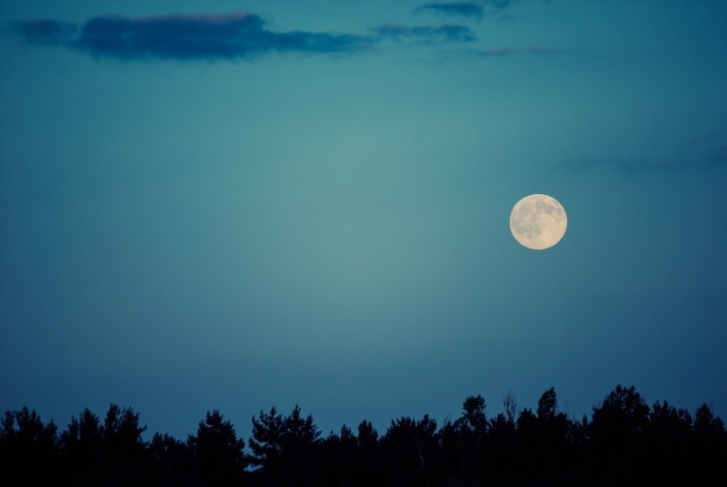 How to Photograph the Moon: 6 Easy Tips & Tricks - Optics Mag