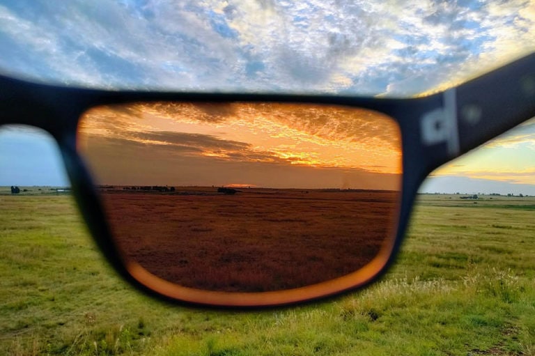 What Are Polarized Sunglasses? How Do They Work? - Optics Mag