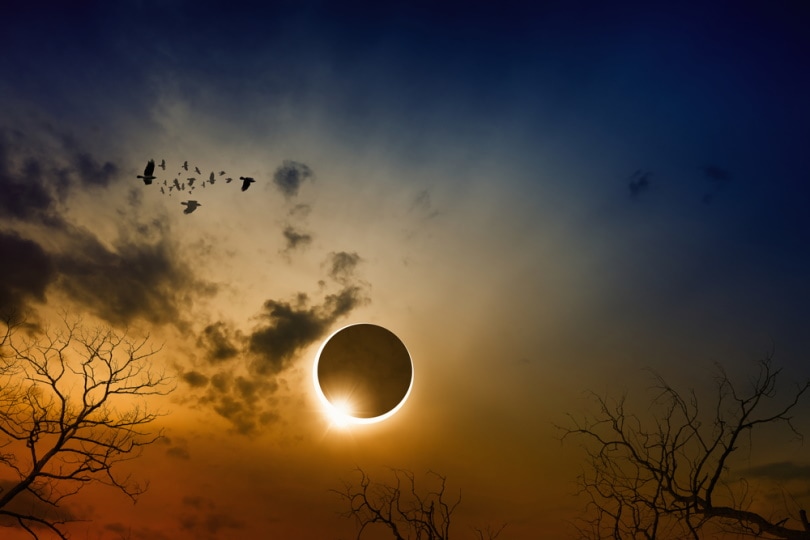 11 Interesting Facts About Solar Eclipses You Never Knew (2024 Updates ...