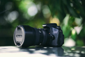 How do Cameras Work? Photography Basics Explained - Optics Mag