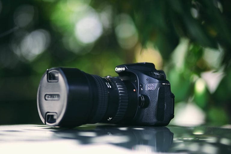 How do Cameras Work? Photography Basics Explained - Optics Mag