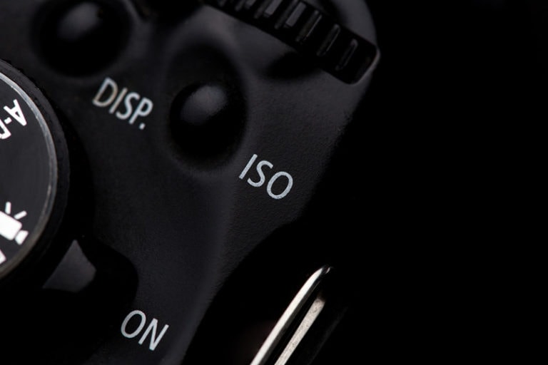 What is ISO on a Camera: Photography Basics Explained - Optics Mag