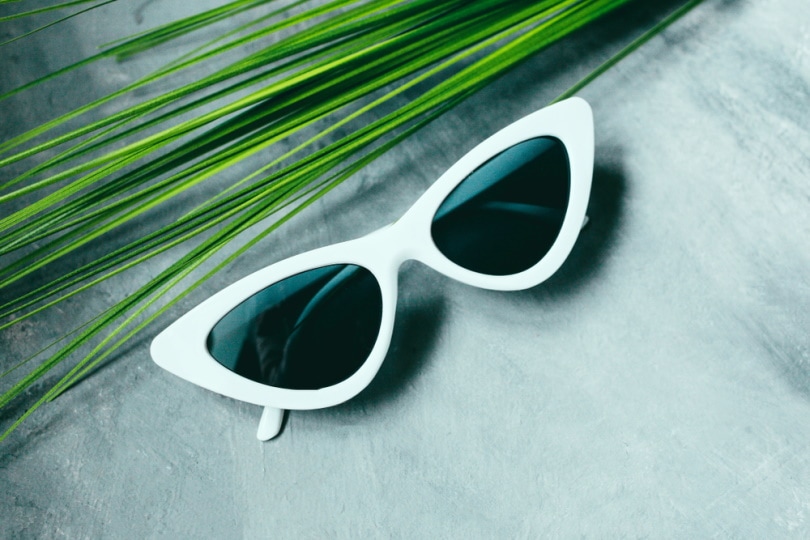 11 Types Of Sunglasses (with Pictures) - Optics Mag