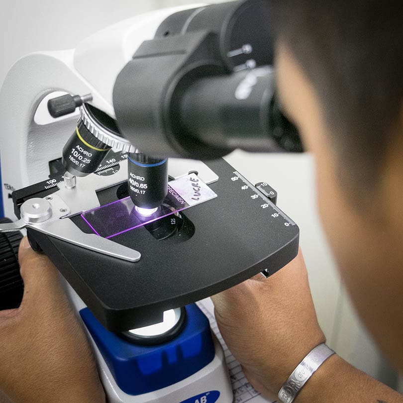 What Is a Parfocal Microscope? Pros, Cons and How It Works - Optics Mag
