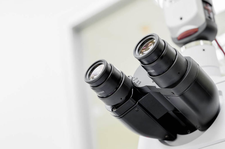 What Is Depth of Field & Depth of Focus on a Microscope? - Optics Mag