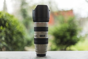 What Is a Telephoto Lens? Photography Basics Explained - Optics Mag