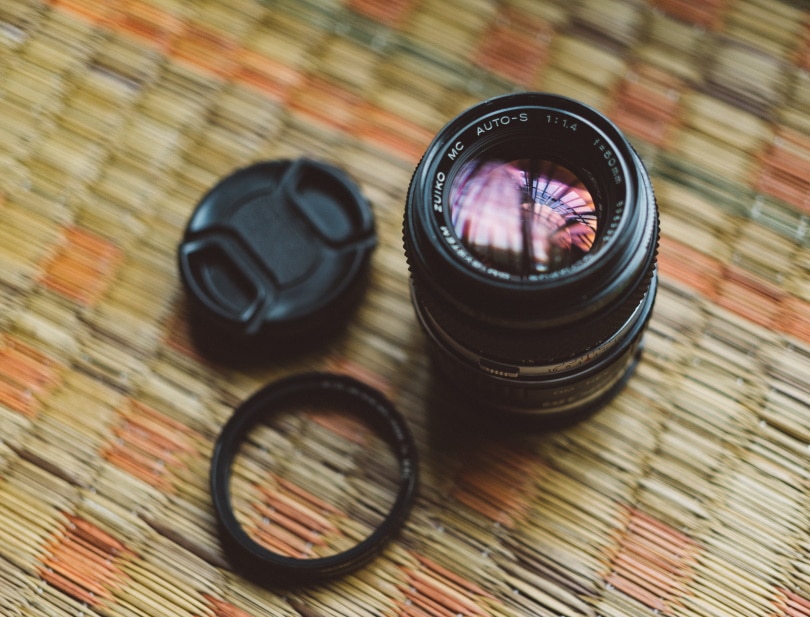 12 Types of Camera Lenses (With Pictures) - Optics Mag
