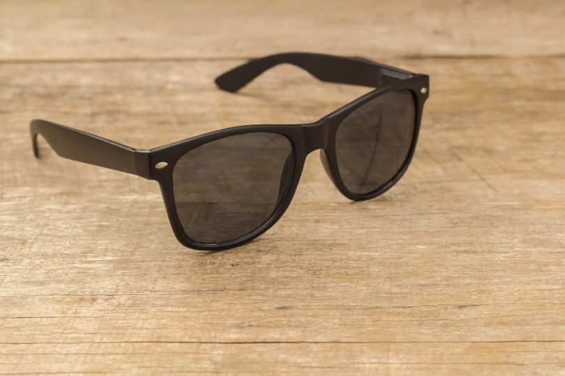 9 Best Polarized Sunglasses in 2024 – Reviews and Top Picks - Optics Mag