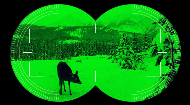 Thermal Or Night Vision Scope for Coyote Hunting: What To Choose ...