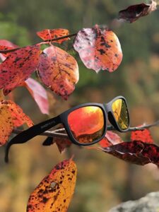 Shady Rays Sunglasses Review of 2024: Pros, Cons & Verdict – Optics Mag