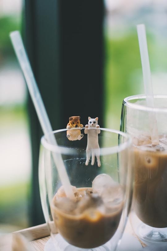 20 Still Life Photography Ideas to Get You Inspired - Optics Mag