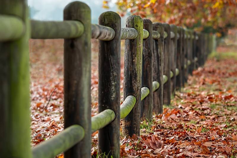 23 Fall Photography Ideas to Get You Inspired - Optics Mag