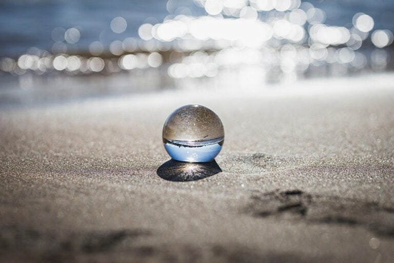 10 Lensball Photography Ideas to Get You Inspired - Optics Mag