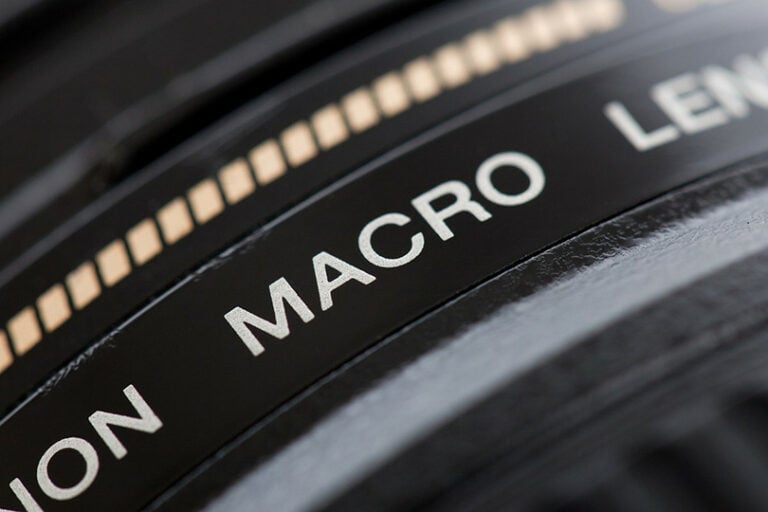 What Is a Macro Lens? Photography Basics Explained - Optics Mag