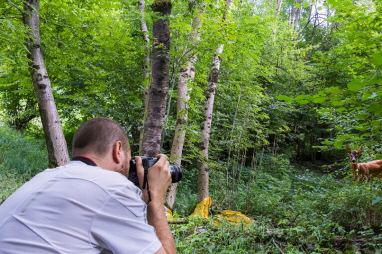 What Is a Fast Shutter Speed? (When to Use It) - Optics Mag