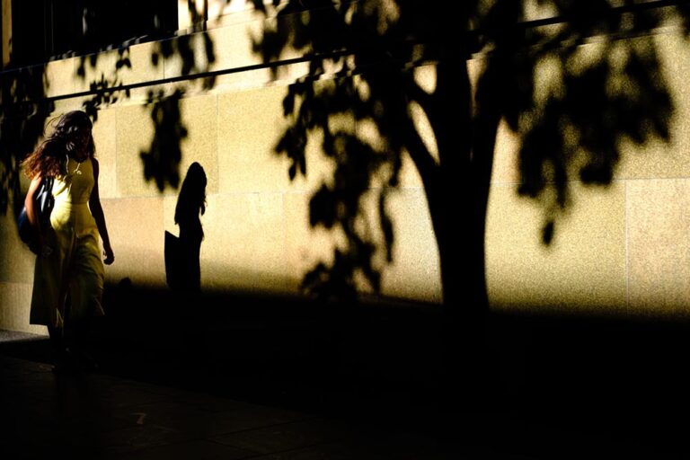15 Shadow Photography Ideas To Get You Inspired! - Optics Mag