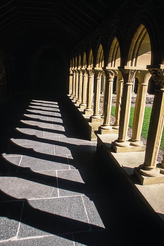 15 Shadow Photography Ideas To Get You Inspired! - Optics Mag