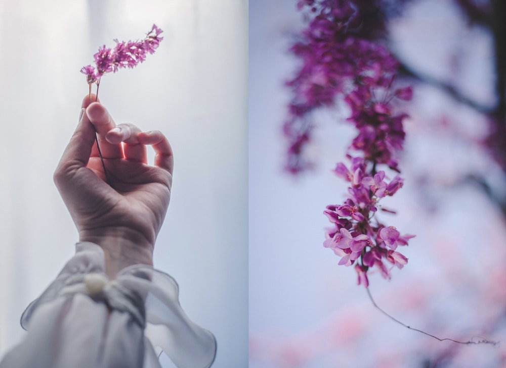 How to Do Multiple Exposure Photography — 8 Tips & Tricks - Optics Mag