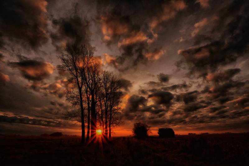 23 Fall Photography Ideas to Get You Inspired - Optics Mag