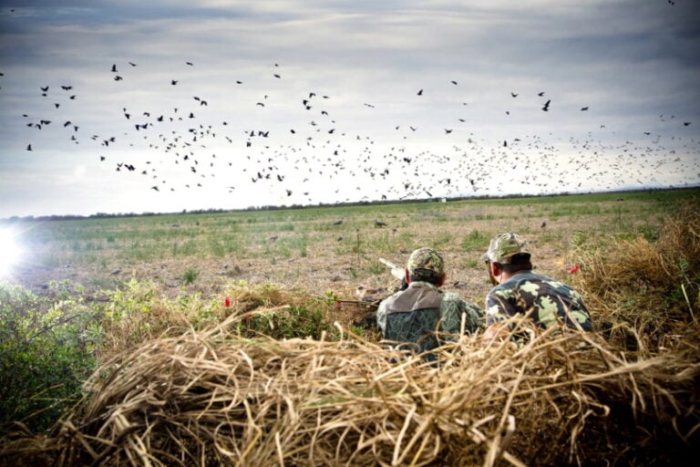 How to Get a Hunting License in California - What You Need to Know ...
