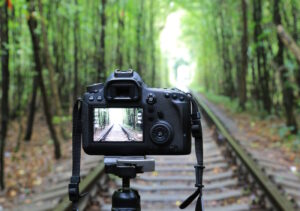What Is Metering & Metering Modes: Photography Basics Explained ...