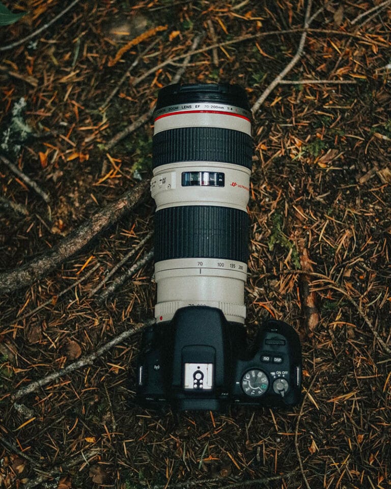 How to Use a Telephoto Lens: 9 Tips & Tricks - Optics Mag