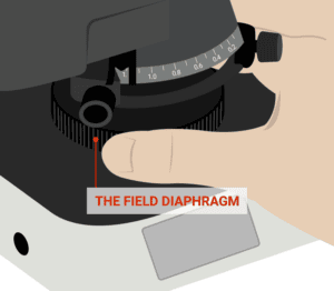 What Does the Diaphragm Do on a Microscope? Pros, Cons, Types, & FAQ ...