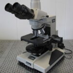 What Are Light Microscopes & How Do They Work? Types, Info, Pictures ...
