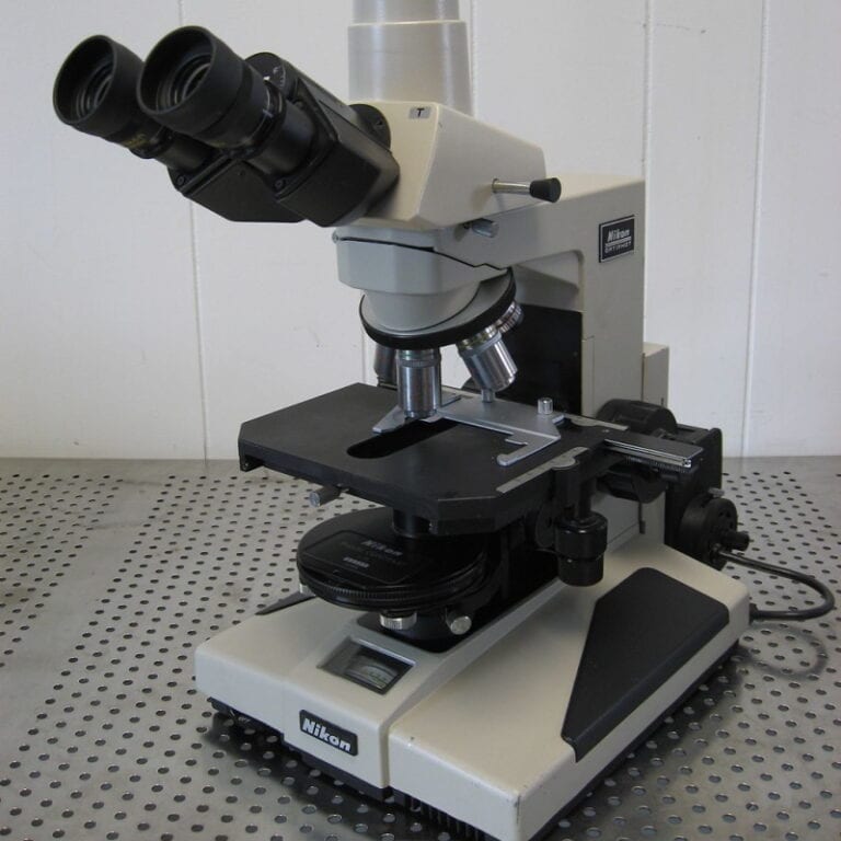 What Are Light Microscopes & How Do They Work? Types, Info, Pictures ...