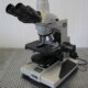 What Are Light Microscopes & How Do They Work? Types, Info, Pictures ...