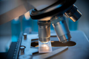 How to Calculate the Magnification of a Microscope? Formula & Cheat ...