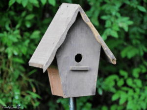 11 DIY Bluebird House Plans You Can Make Today (With Pictures) - Optics Mag