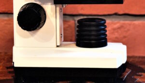 11 Parts of a Compound Microscope (With Pictures) - Optics Mag