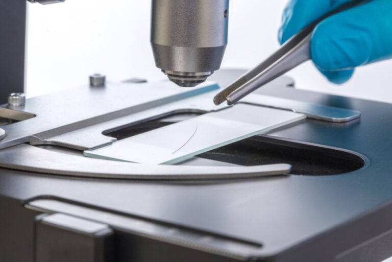 What Does Hair Look Like Under a Microscope? Facts & FAQs - Optics Mag