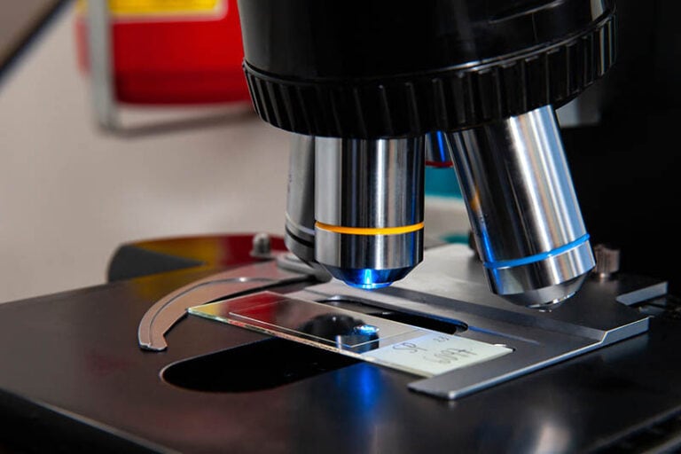 What Do Cells Look Like Under a Microscope? Types, Parts, & FAQ ...