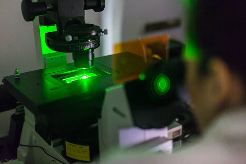 When Do You Use a Fluorescence Microscope? - Optics Mag