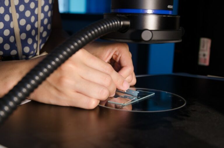 What Are Dissecting Microscopes Used For? What to Know! - Optics Mag