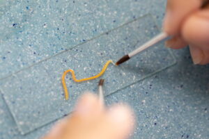 What Does a Worm Look Like Under a Microscope? The Surprising Answer ...