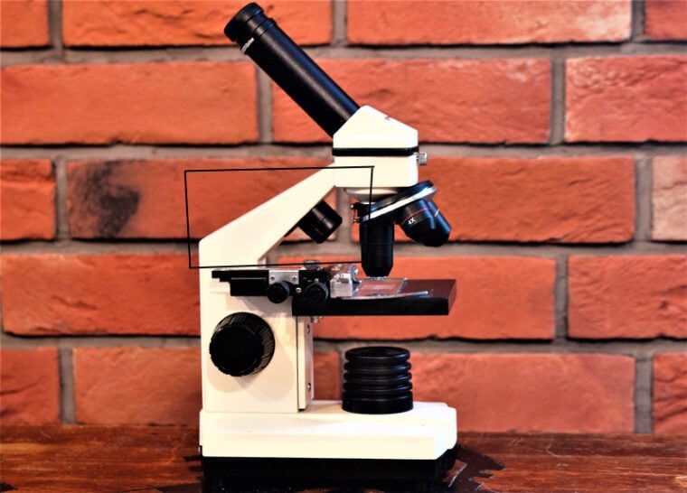 11 Parts of a Compound Microscope (With Pictures) - Optics Mag