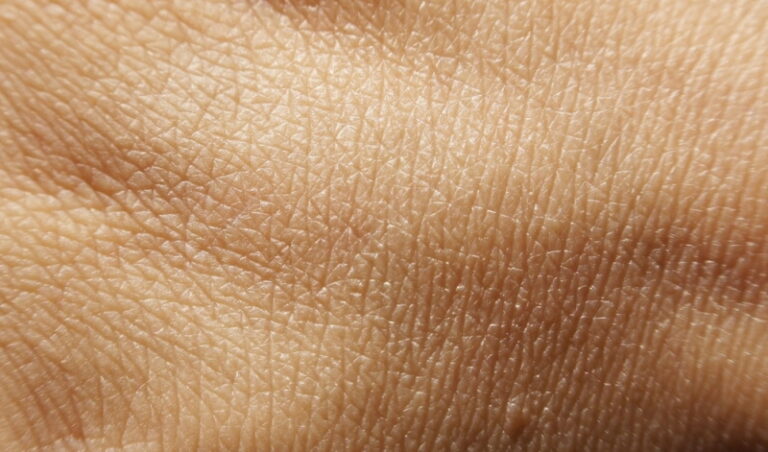 What Does Skin Look Like Under a Microscope? (Images Included) - Optics Mag