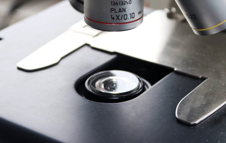 11 Parts of a Compound Microscope (With Pictures) - Optics Mag