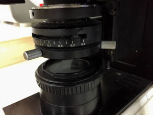 What Is a Condenser on a Microscope (And What Does It Do) - Optics Mag